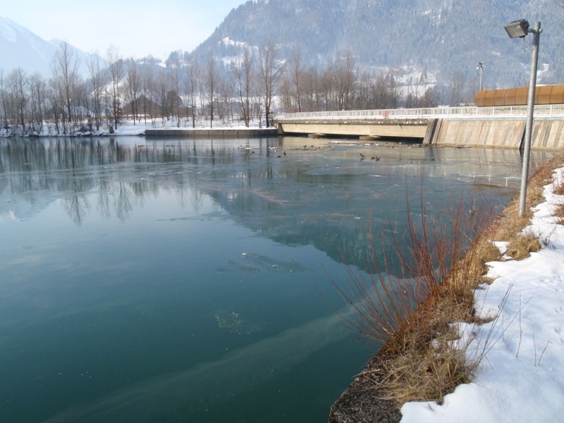 Gewässerökologie und Wasserkraft – Arge Ökologie